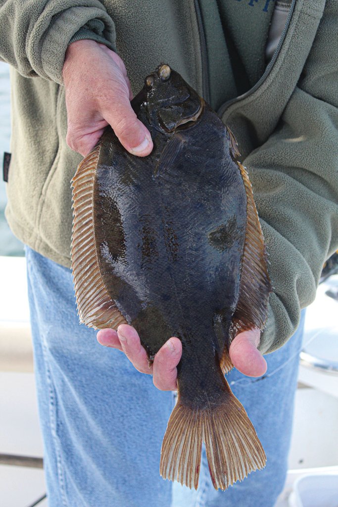 Inshore vs Offshore Fishing: Everything You Need to Know - American ...