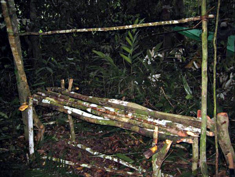 How to make a DIY bed in the wild - American Outdoor Guide