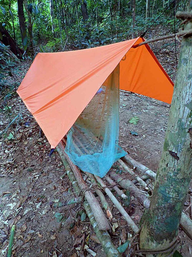 How to make a DIY bed in the wild - American Outdoor Guide
