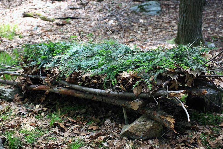 How to make a DIY bed in the wild - American Outdoor Guide