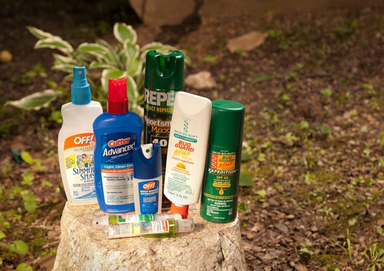 HOW TO KEEP PESKY INSECTS AT BAY – American Outdoor Guide