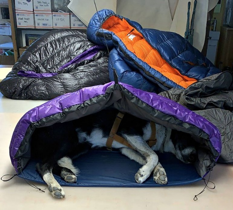 7 BACKPACKING BRANDS FOR YOU - American Outdoor Guide